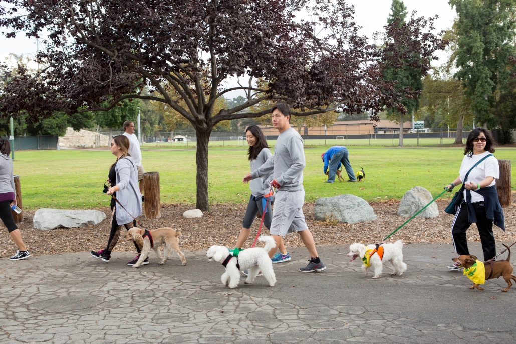 Get ready to Wiggle Waggle Walk - Pasadena Humane