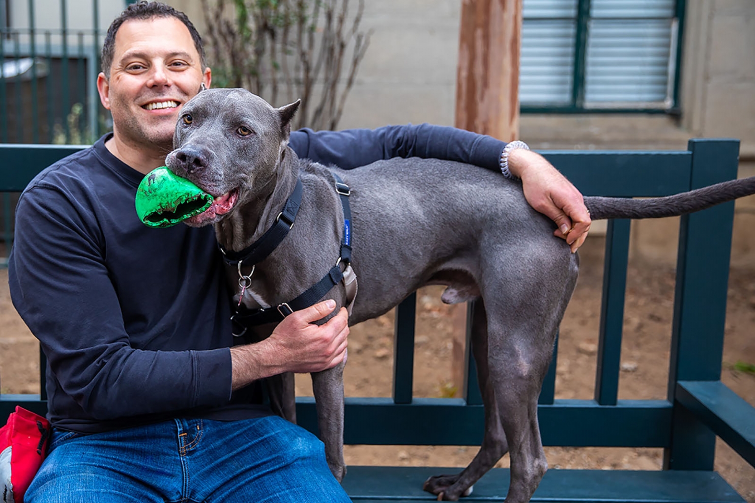 Foster a Pet - Pasadena Humane