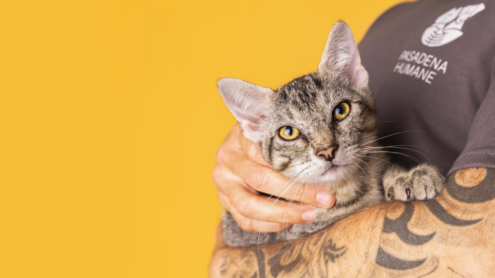 Pasadena Humane | Compassionate Care for Animals Since 1903