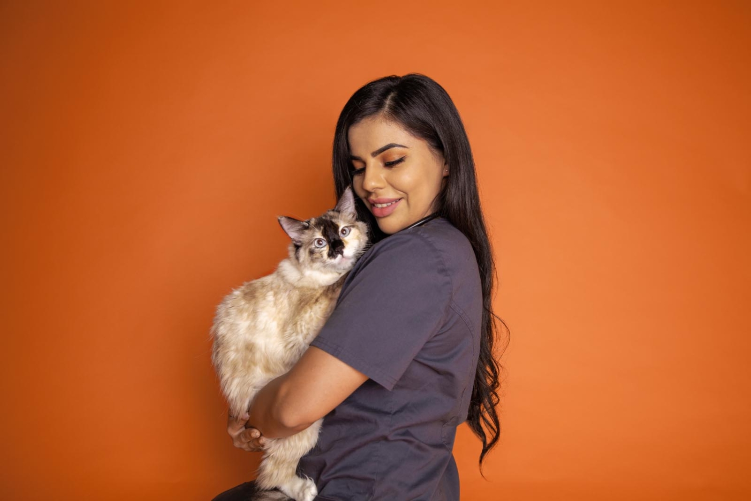 More Than A Shelter - Pasadena Humane