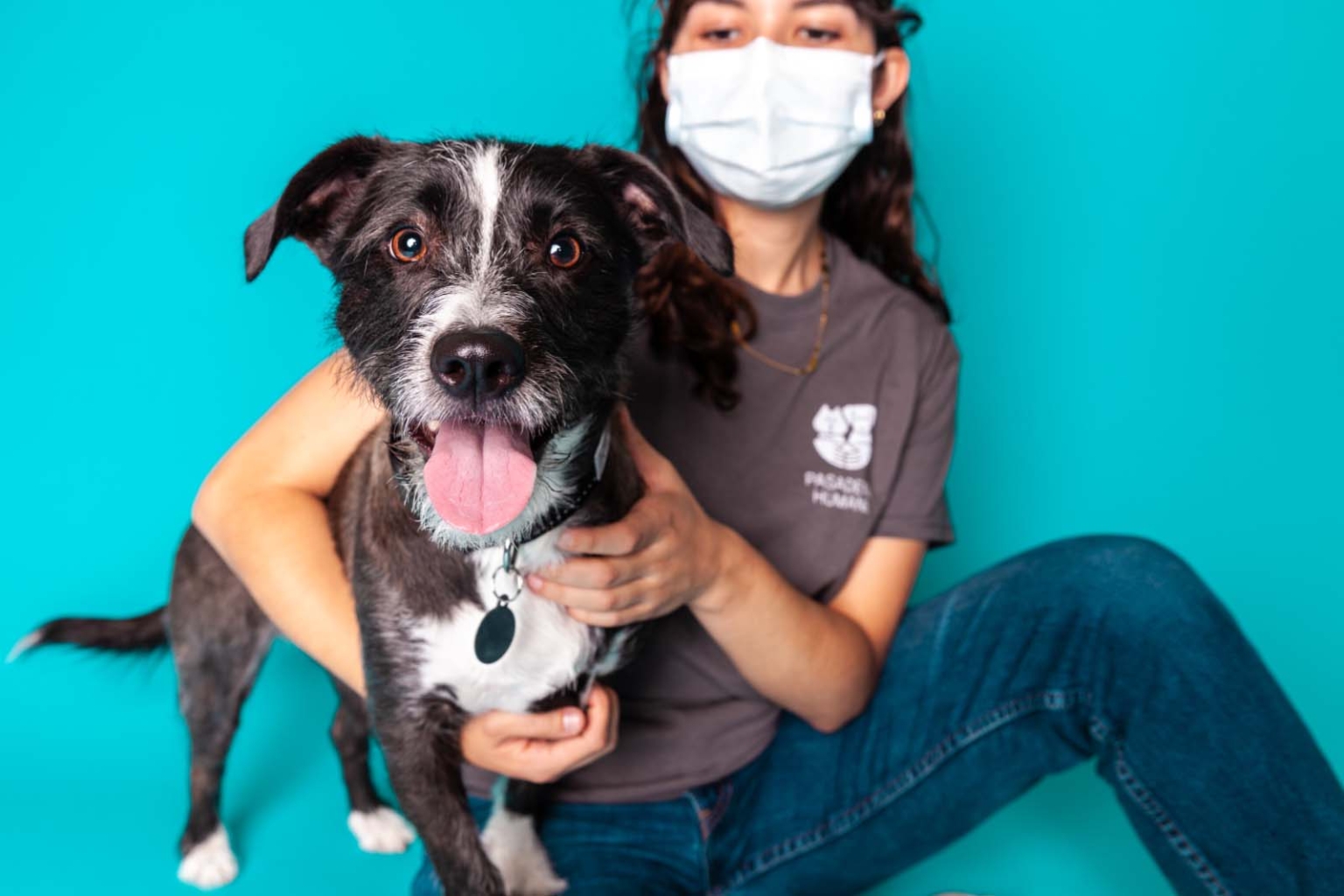 More Than A Shelter - Pasadena Humane