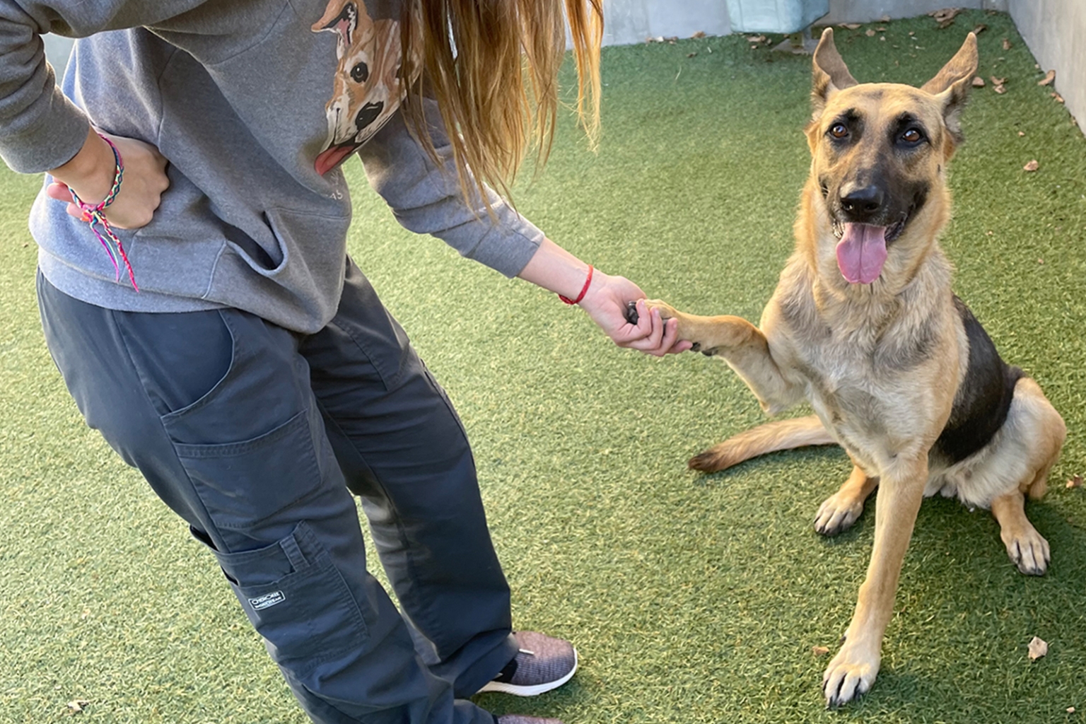 Owner Assistance - Pasadena Humane