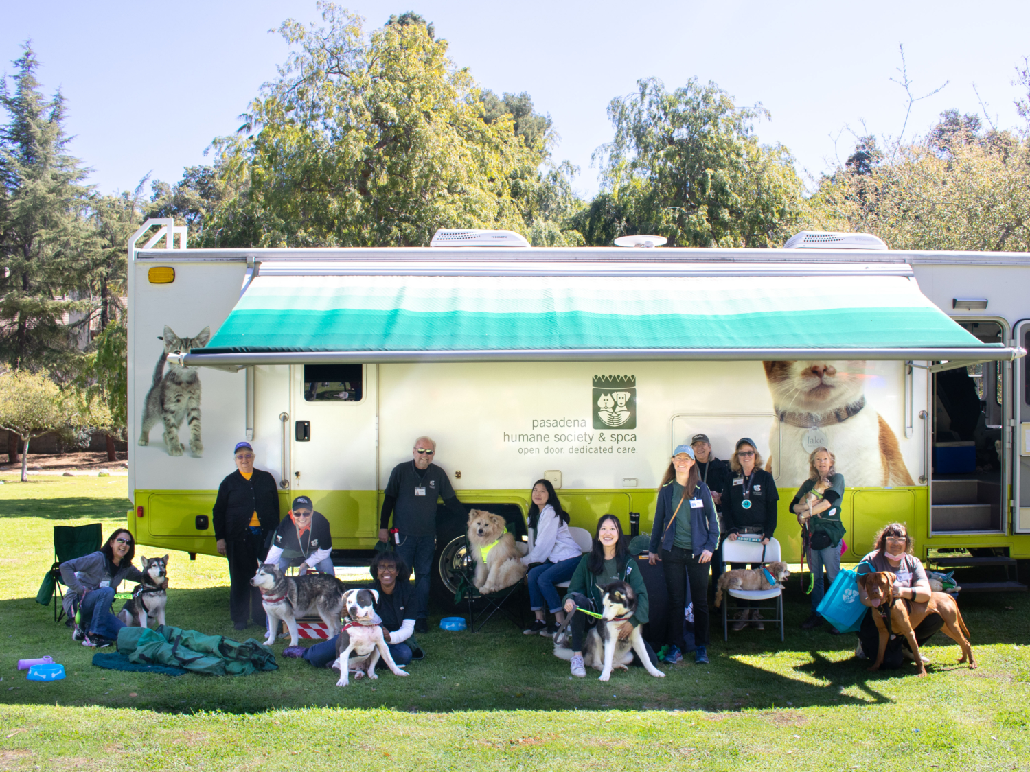Pop-Up Dog Adoption Event at Arcadia’s Patriotic Festival - Pasadena Humane