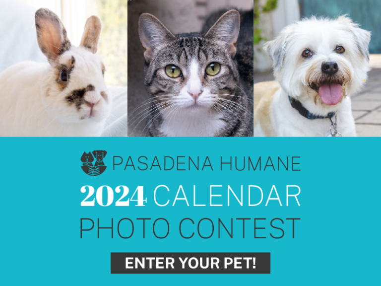 Pasadena Humane | Compassionate Care for Animals Since 1903