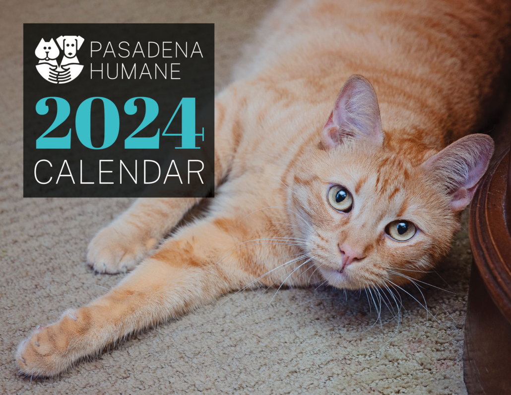 Order a 2024 Pasadena Humane Calendar! - Pasadena Humane
