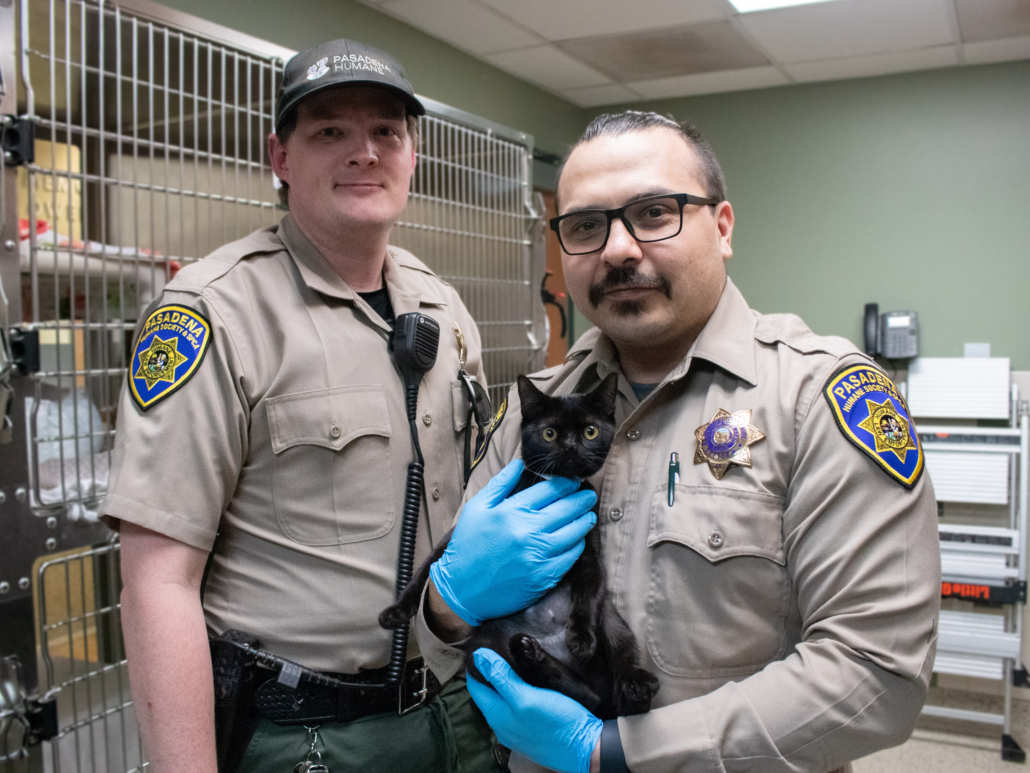 Pasadena Humane ACOs Deploy to Maui for Relief Duty - Pasadena Humane