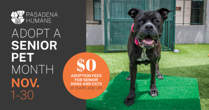 View Pets - Pasadena Humane