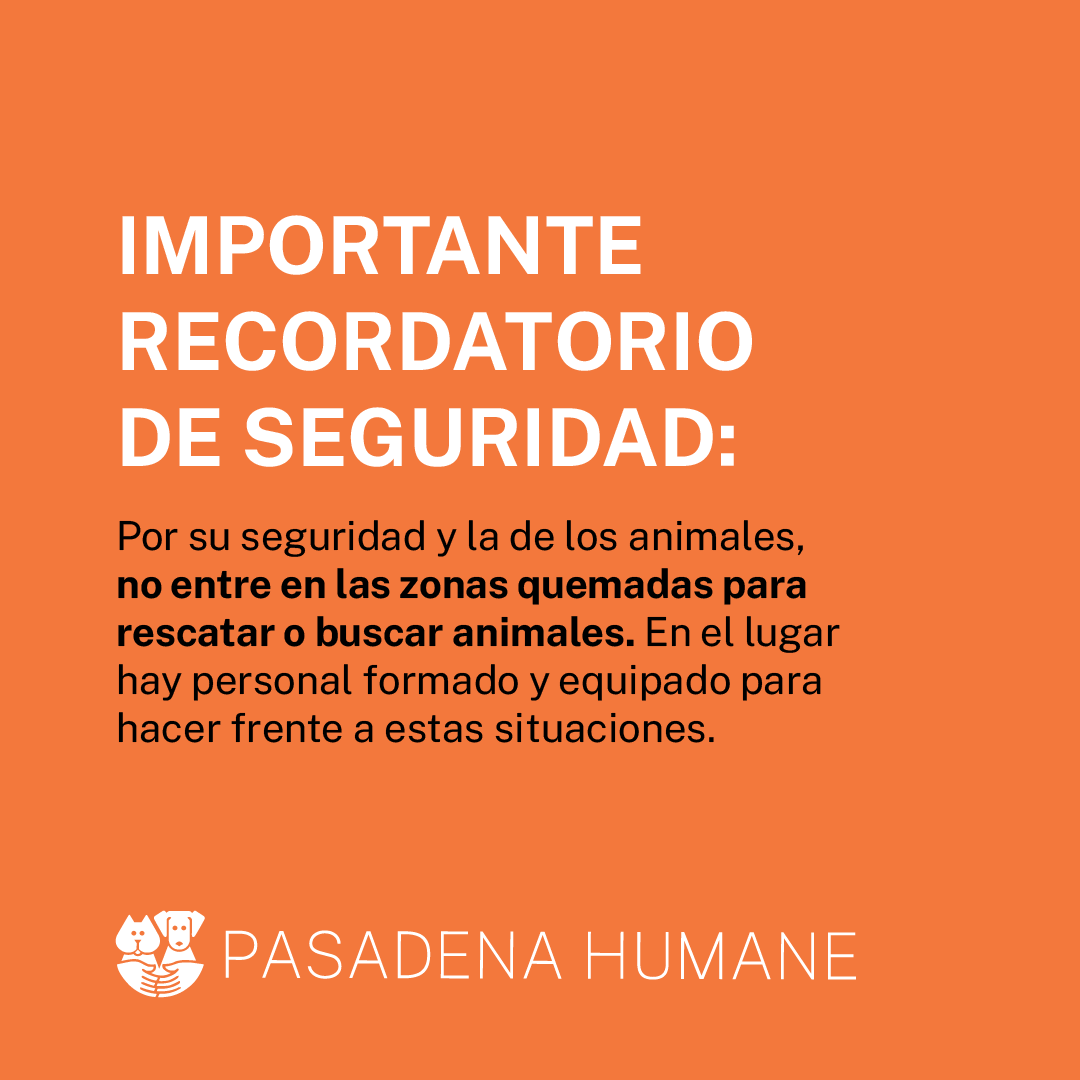 Eaton Fire Animal Assistance - Pasadena Humane