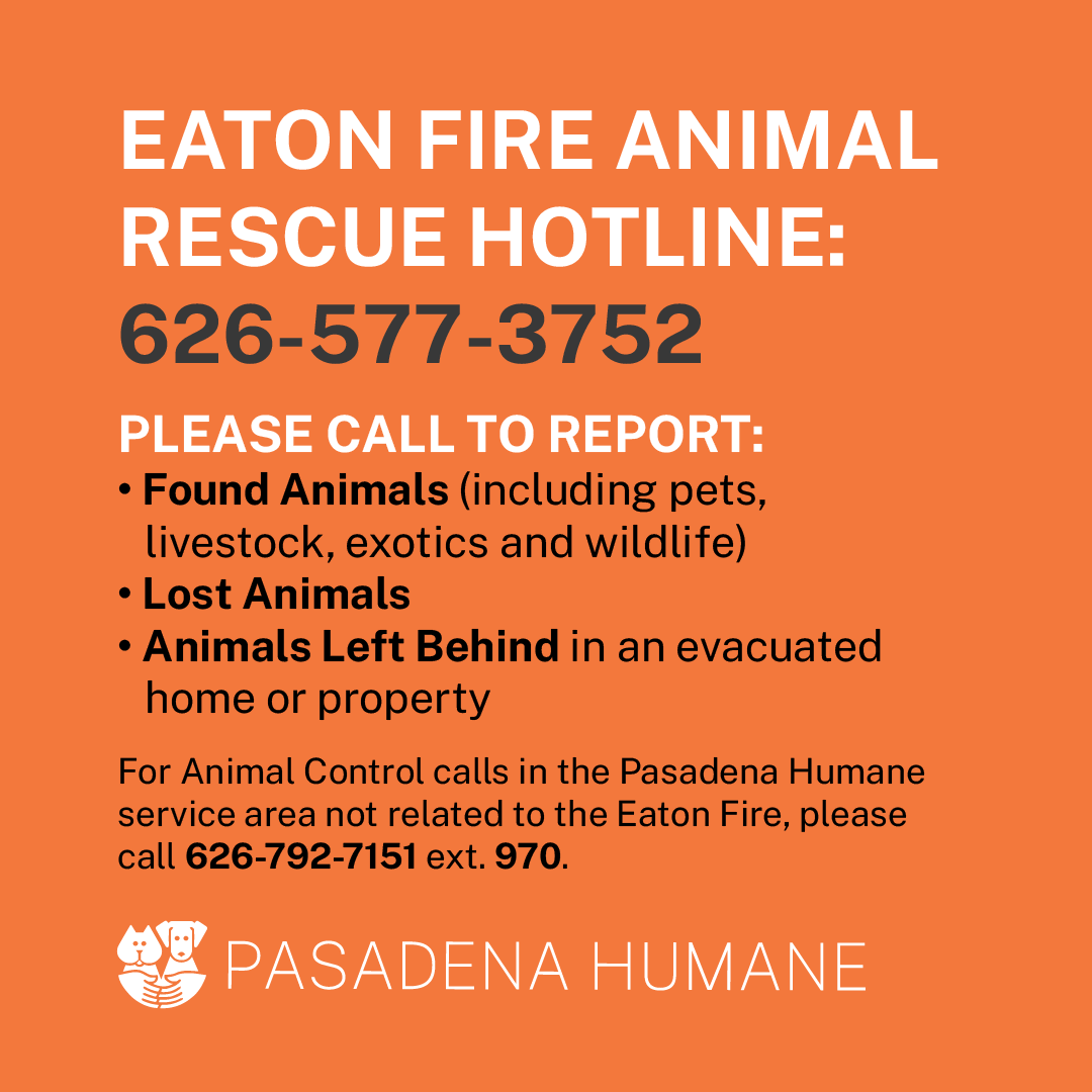 Eaton Fire Animal Assistance - Pasadena Humane