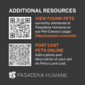 Eaton Fire Animal Assistance - Pasadena Humane