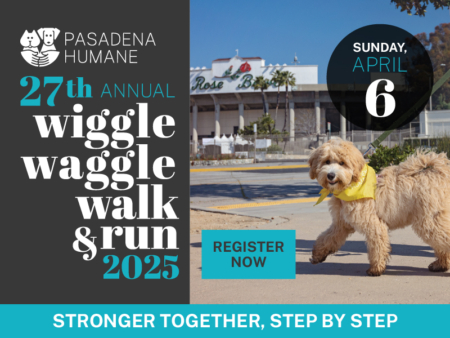 View Pets - Pasadena Humane