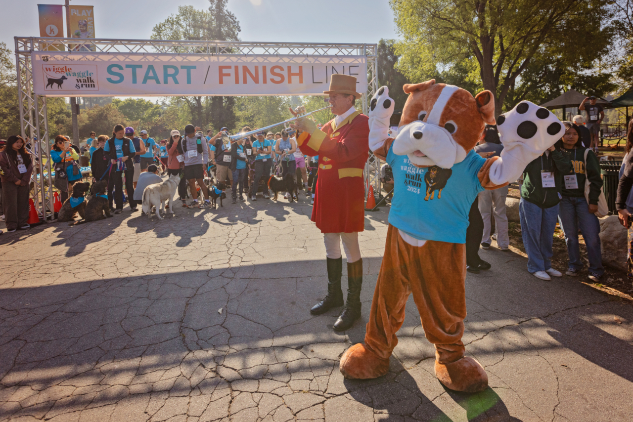 Wiggle Waggle Walk & Run Returns to Brookside Park - Pasadena Humane