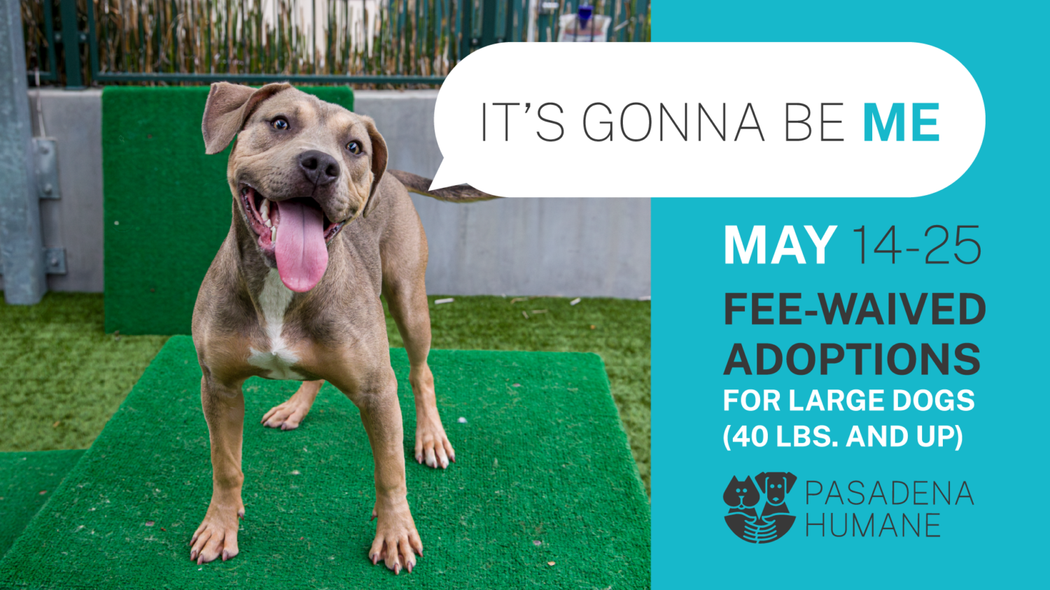 View Pets - Pasadena Humane