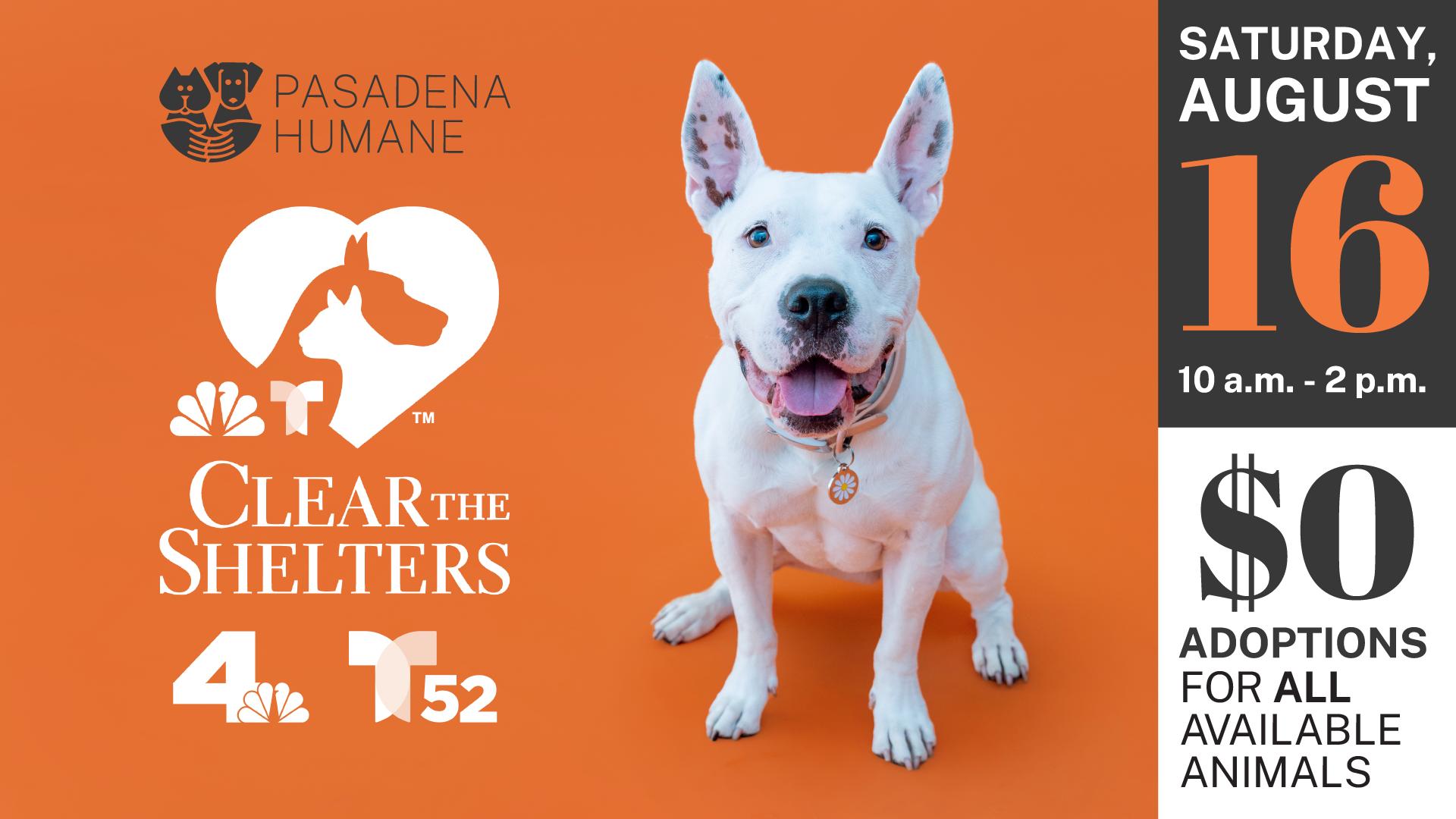 Pasadena Humane Joins NBCUniversal's Clear The Shelters Pet Adoption ...