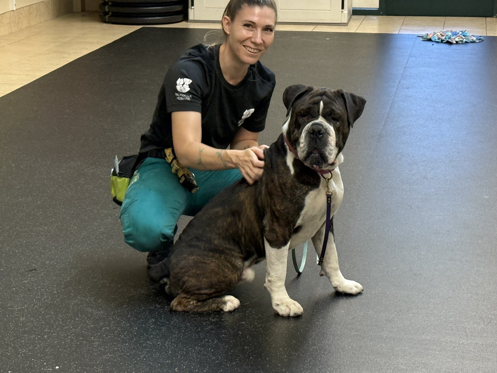 Eaton Fire Survivor Biggs Finds His New Home - Pasadena Humane